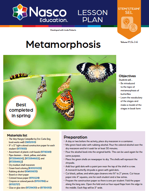 Butterfly Metamorphosis Lesson Plan