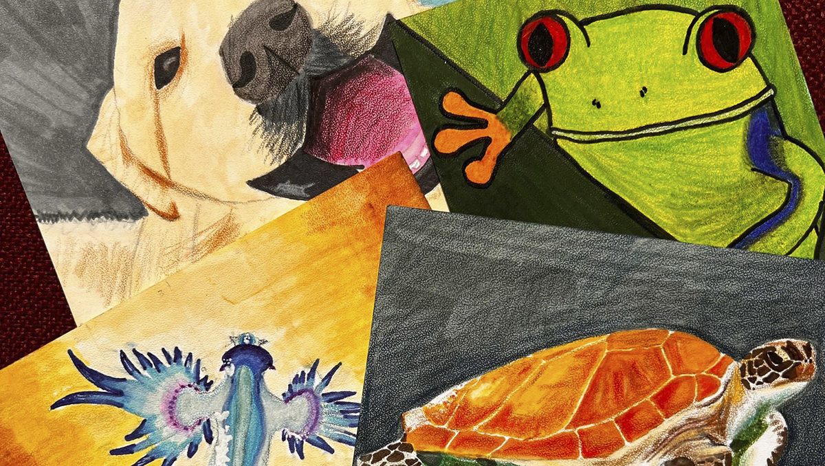 Favorite Sharpie Projects for Art Teachers